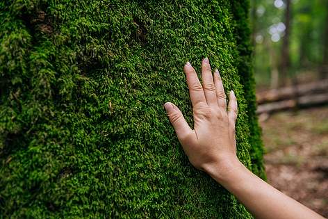 Our Human Nature | Message In Stanza